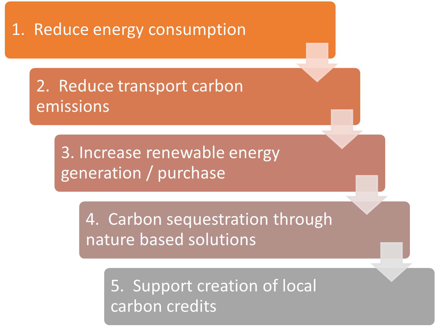 Carbon Neutrality Action Plan - Winchester City Council