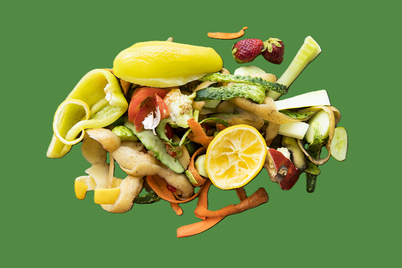 Food waste recycling collections - Winchester City Council