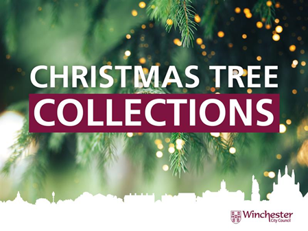 Christmas Tree Collections - Winchester City Council